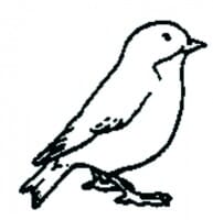 Perma Stempel Holzstempel - Schnecke | stempel-versand.ch